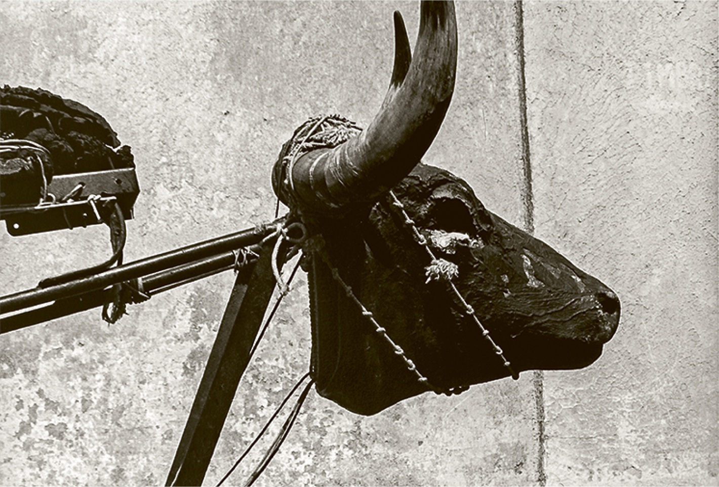 THE SOUND OF THE WORLD